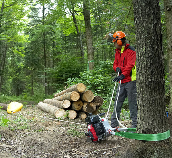 Treuil de lignard en vente sur Treuil Direct