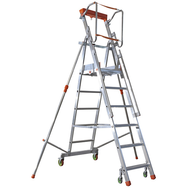 Echelle avec plateforme à immobilisation automatique