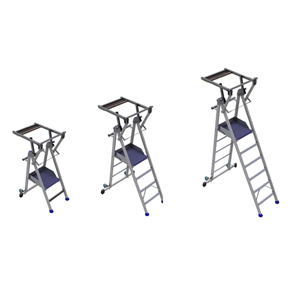 Plateforme individuelle roulante avec des marches de 8cm