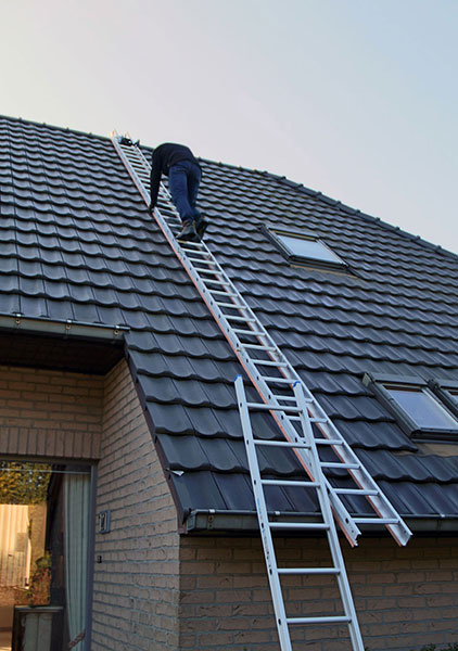 Dachdeckerleiter